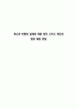청소년 비행의 실태와 대응 방안 그리고 개인의 범죄 예방 관점-1페이지