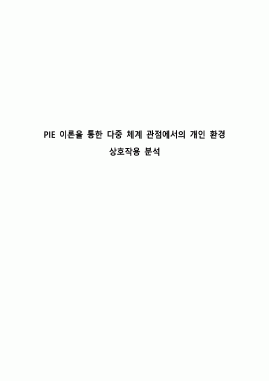 PIE 이론을 통한 다중 체계 관점에서의 개인 환경 상호작용 분석-1페이지