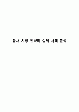 틈새 시장 전략의 실제 사례 분석-1페이지