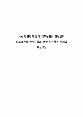 AIG 경영전략 분석 재무현황과 경영실적 리스크관리 방카슈랑스 현황 위기극복 사례와 핵심역량-1페이지