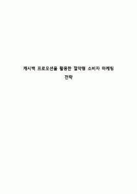캐시백 프로모션을 활용한 절약형 소비자 마케팅 전략-1페이지
