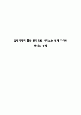 생태체계적 통합 관점으로 바라보는 현재 자아의 생태도 분석-1페이지