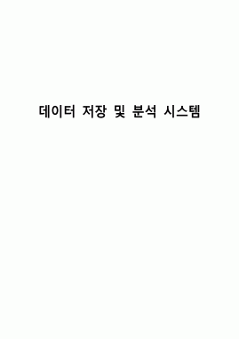 데이터 저장 및 분석 시스템-1페이지