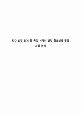 인간 발달 단계 중 특정 시기의 발달 중요성과 발달 과업 분석-1페이지