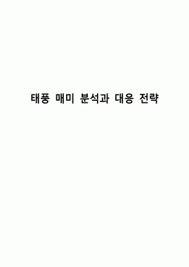 태풍 매미 분석과 대응 전략-1페이지
