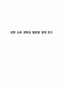 대학 교육 개혁과 평준화 정책 연구-1페이지