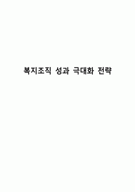 복지조직 성과 극대화 전략-1페이지