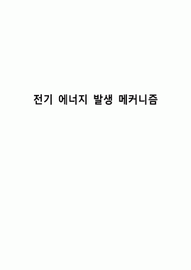 전기 에너지 발생 메커니즘-1페이지