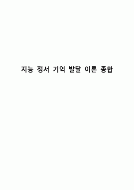 지능 정서 기억 발달 이론 종합-1페이지