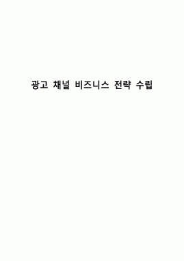 광고 채널 비즈니스 전략 수립-1페이지