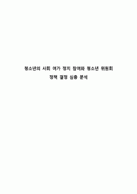 청소년의 사회 여가 정치 참여와 청소년 위원회 정책 결정 심층 분석-1페이지