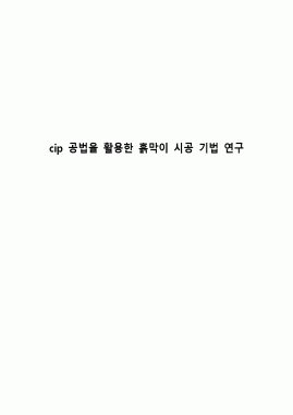 cip 공법을 활용한 흙막이 시공 기법 연구-1페이지