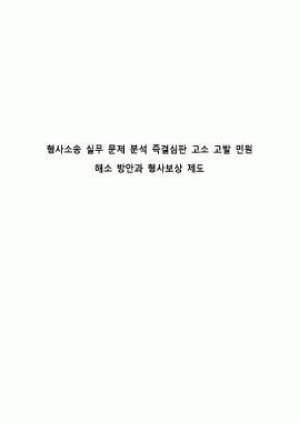 형사소송 실무 문제 분석 즉결심판 고소 고발 민원 해소 방안과 형사보상 제도-1페이지