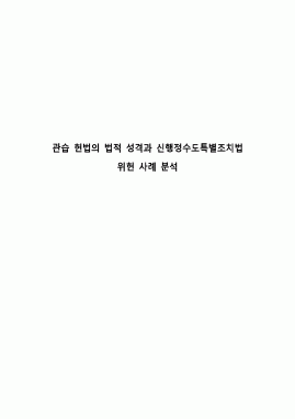 관습 헌법의 법적 성격과 신행정수도특별조치법 위헌 사례 분석-1페이지