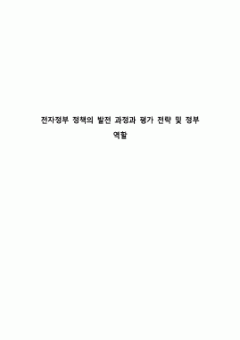 전자정부 정책의 발전 과정과 평가 전략 및 정부 역할-1페이지