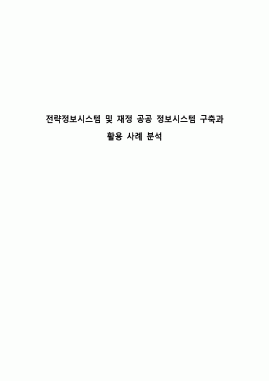 전략정보시스템 및 재정 공공 정보시스템 구축과 활용 사례 분석-1페이지