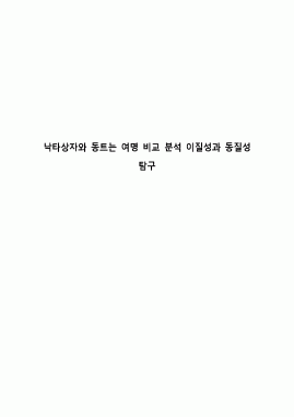 낙타상자와 동트는 여명 비교 분석 이질성과 동질성 탐구-1페이지