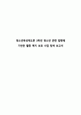 청소년육성제도론 3학년 청소년 관련 법령에 기반한 활동 복지 보호 사업 탐색 보고서-1페이지