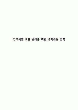 인적자원 효율 관리를 위한 경력개발 전략-1페이지