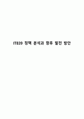 IT839 정책 분석과 향후 발전 방안-1페이지