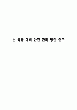눈 폭풍 대비 안전 관리 방안 연구-1페이지