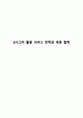 6시그마 활용 서비스 전략과 제휴 협력-1페이지