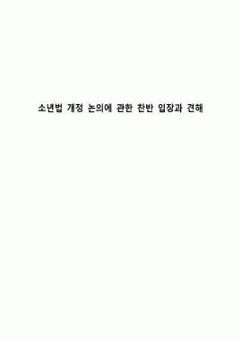 소년법 개정 논의에 관한 찬반 입장과 견해-1페이지