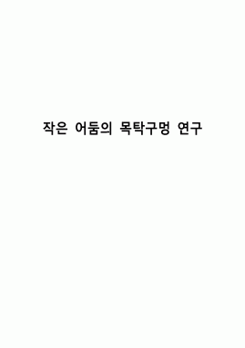 작은 어둠의 목탁구멍 연구-1페이지