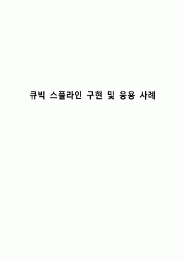 큐빅 스플라인 구현 및 응용 사례-1페이지