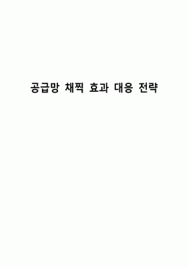공급망 채찍 효과 대응 전략-1페이지