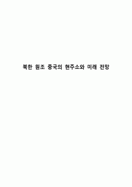 북한 원조 중국의 현주소와 미래 전망-1페이지