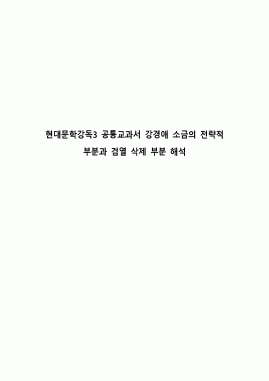 현대문학강독3 공통교과서 강경애 소금의 전략적 부분과 검열 삭제 부분 해석-1페이지