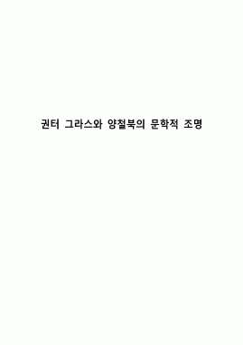 권터 그라스와 양철북의 문학적 조명-1페이지