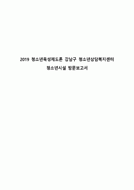 2019 청소년육성제도론 강남구 청소년상담복지센터 청소년시설 방문보고서-1페이지