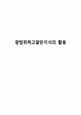 광범위하고얕은지식의 활용-1페이지