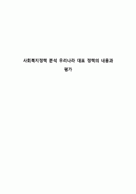 사회복지정책 분석 우리나라 대표 정책의 내용과 평가-1페이지