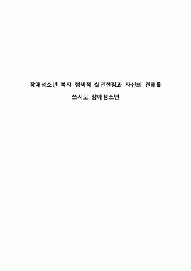 장애청소년 복지 정책적 실천현장과 자신의 견해를 쓰시오 장애청소년-1페이지