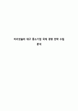 미리넷솔라 대구 중소기업 국제 경영 전략 수립 분석-1페이지