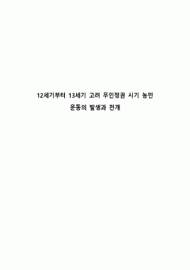 12세기부터 13세기 고려 무인정권 시기 농민 운동의 발생과 전개-1페이지