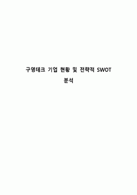구영테크 기업 현황 및 전략적 SWOT 분석-1페이지
