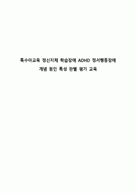 특수아교육 정신지체 학습장애 ADHD 정서행동장애 개념 원인 특성 판별 평가 교육-1페이지