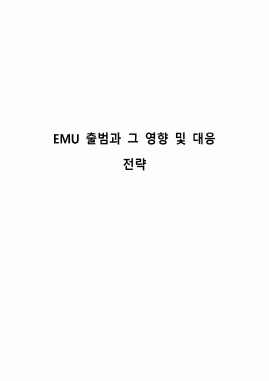 EMU 출범과 그 영향 및 대응 전략-1페이지