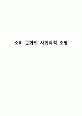 소비 문화의 사회학적 조명-1페이지
