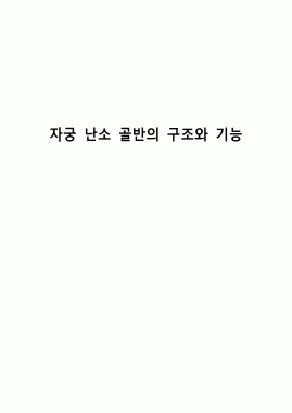 자궁 난소 골반의 구조와 기능-1페이지