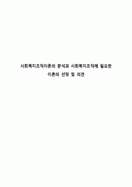 사회복지조직이론의 분석과 사회복지조직에 필요한 이론의 선정 및 의견-1페이지