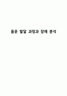 음운 발달 과정과 장애 분석-1페이지