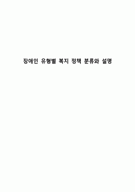 장애인 유형별 복지 정책 분류와 설명-1페이지