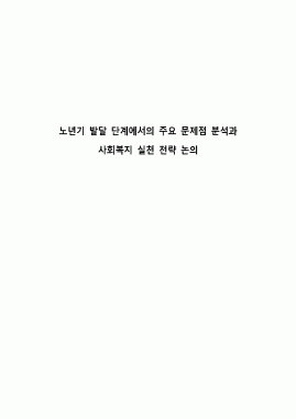 노년기 발달 단계에서의 주요 문제점 분석과 사회복지 실천 전략 논의-1페이지