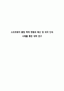 소프트웨어 불법 복제 현황과 확산 및 외국 단속 사례를 통한 대책 연구-1페이지