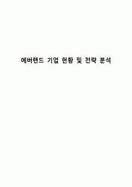에버랜드 기업 현황 및 전략 분석-1페이지